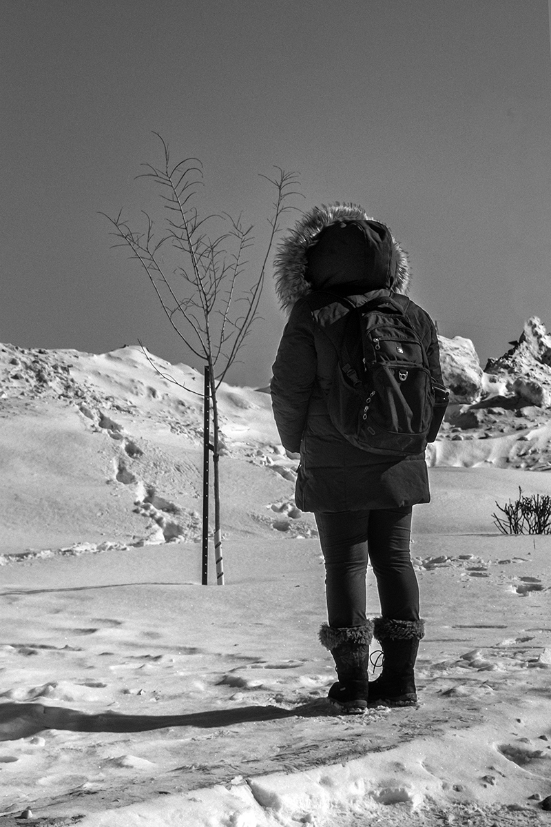 In The Dead Of Winter INDIEFOTOG