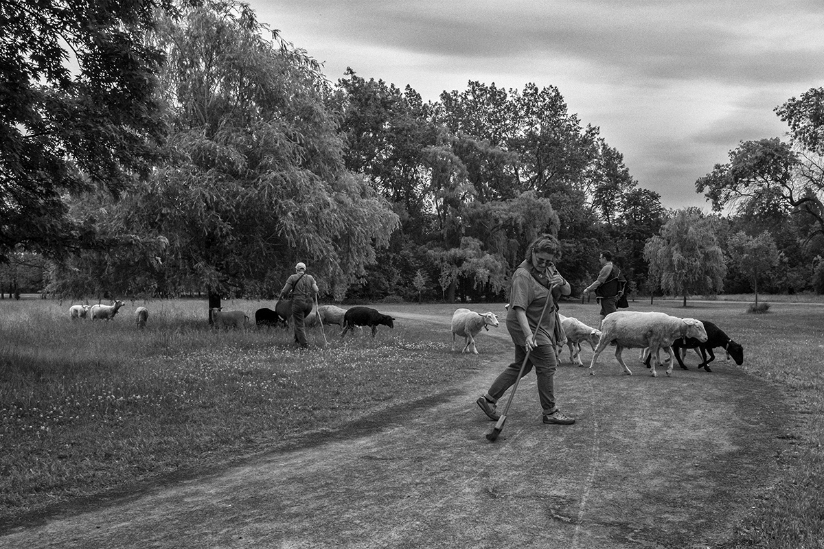 Sweeping It Up INDIEFOTOG