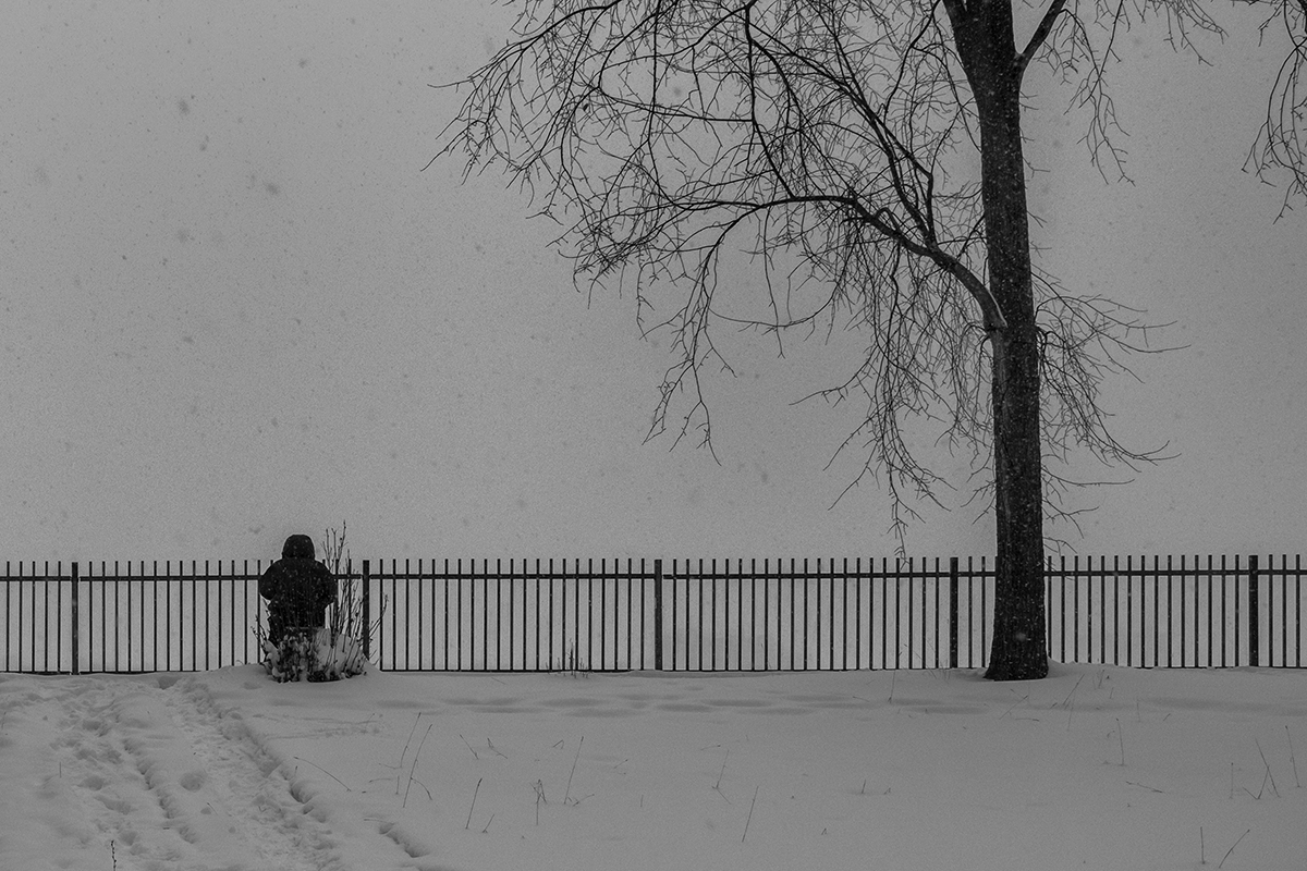 The Last Hurdle – INDIEFOTOG