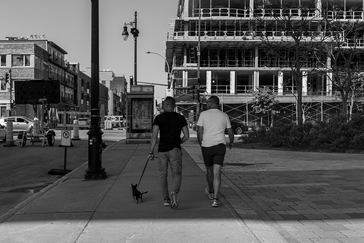 The Incredible Shrinking Dog – INDIEFOTOG