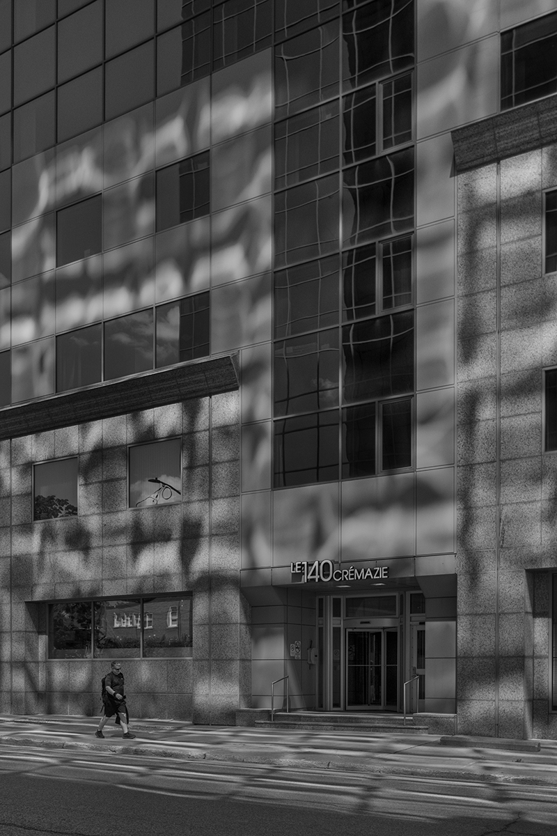Light Up The Way – INDIEFOTOG